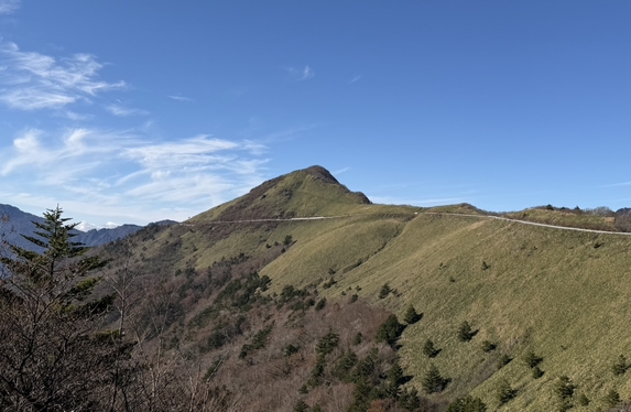 カローラスポーツのこのCM、実は……撮影場所に当店スタッフが行ってまいりました！